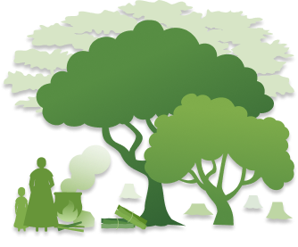 The Value of Clean Cooking | Clean Cooking Alliance