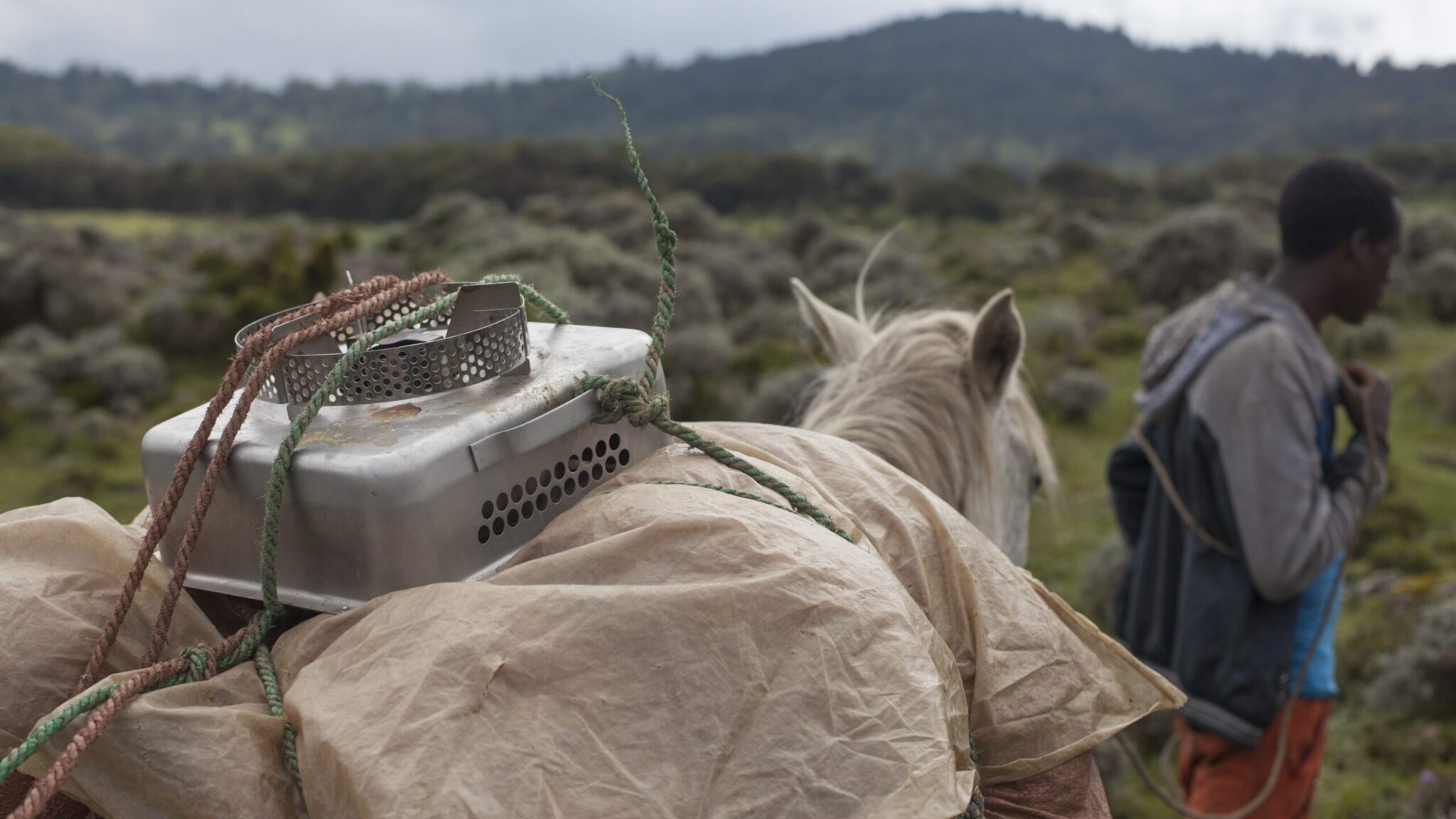 Clean Cooking and Climate Consortium | Clean Cooking Alliance