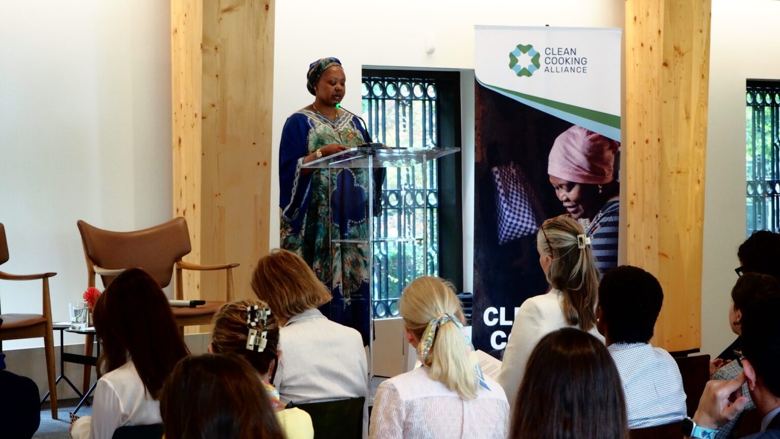 Embassies of Norway and Tanzania Join CCA to Highlight Summit on Clean ...